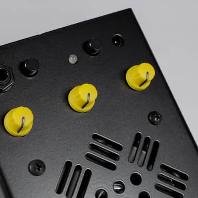TMH011B Critter & Guitari TERZ Amplifier, Black(BENNETBREEZE) | Reverb