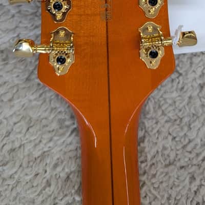 Gretsch G6120DE Duane Eddy Signature 6120 Hollow Body with | Reverb