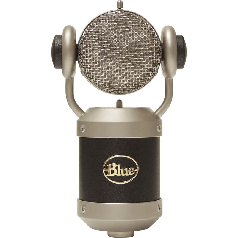 Blue Mouse Large Diaphragm Condenser Microphone with Rotating | Reverb