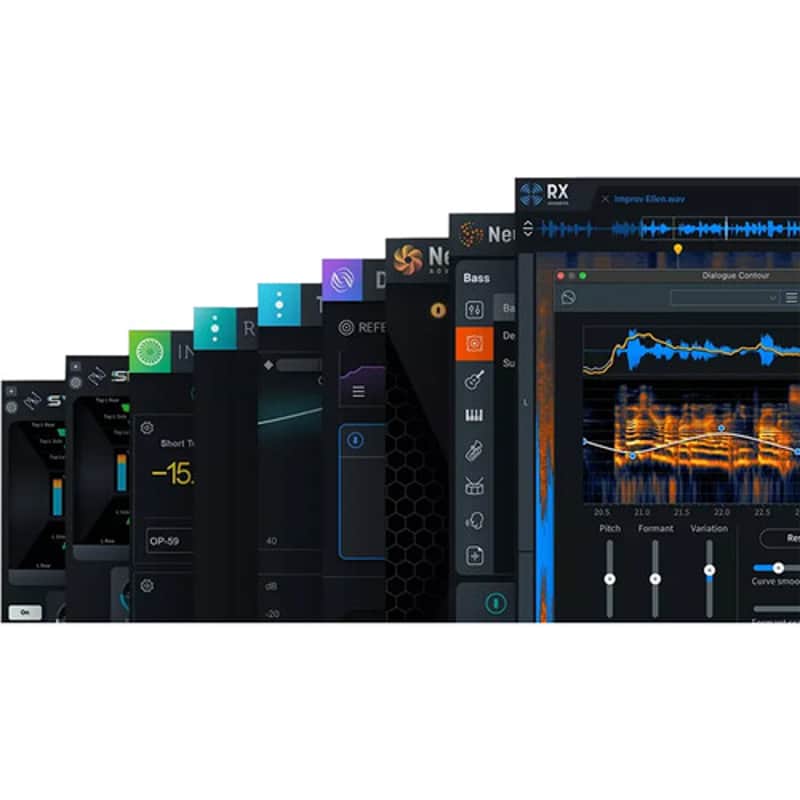 iZotope Rx Post Production Suite 8.6 Audio Processor (8.6, | Reverb