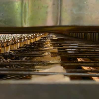 Fender Rhodes Mark I Stage 73-Key Electric Piano 1976 | Reverb