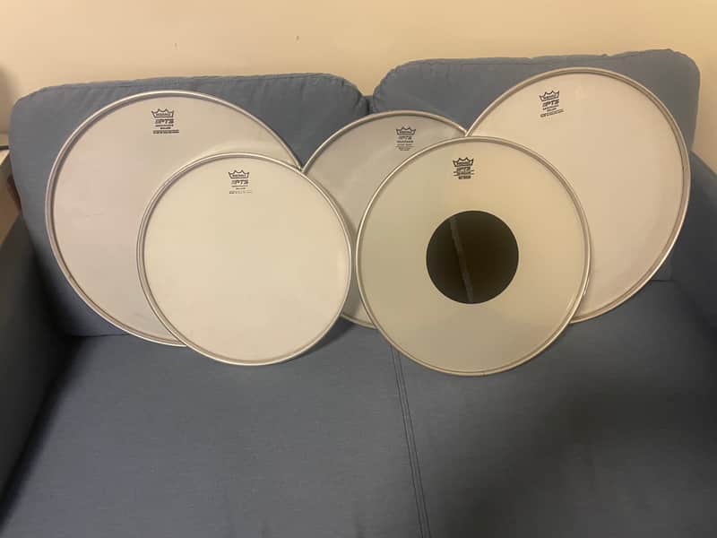 REMO PTS Drumhead Lot | Reverb
