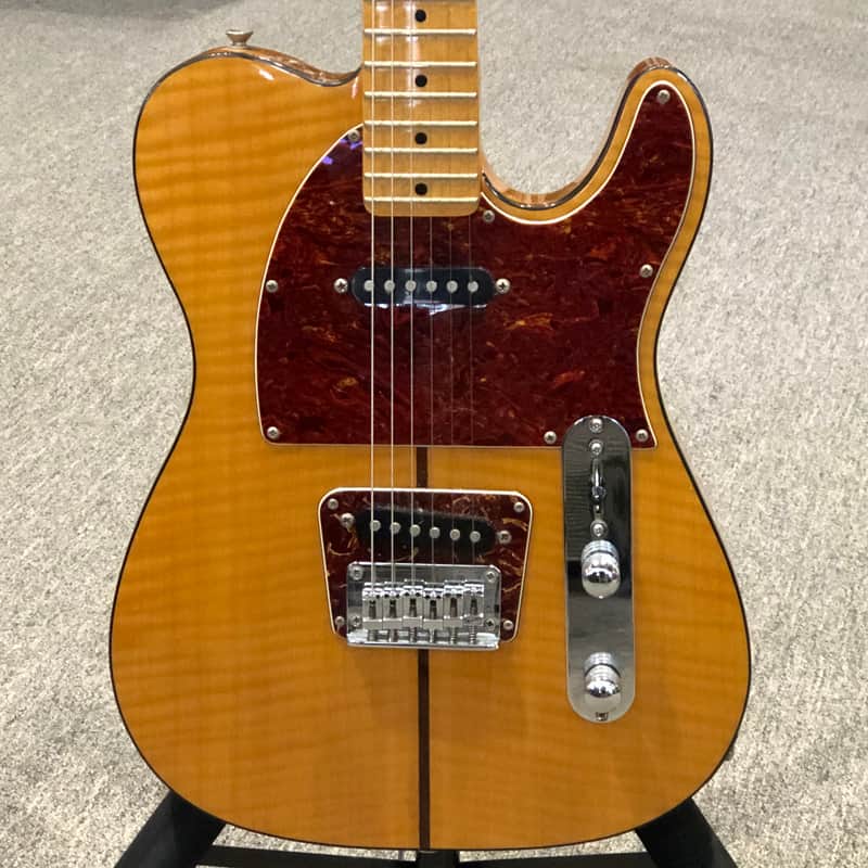 Hohner "The Prinz" - Prince Signature Telecaster in Natural | Reverb