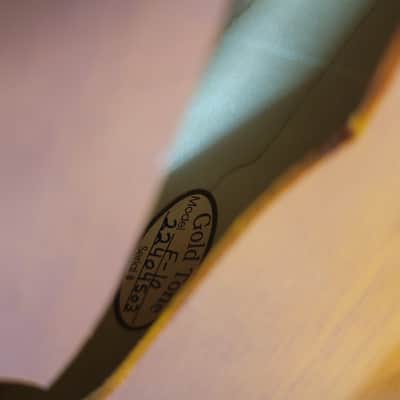 Gold Tone F-10 10 String Mandolin w/Case (FREE Shipping!) | Reverb