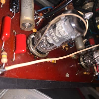 62’ Bird Golden Eagle 4/25 (1x15) | Reverb