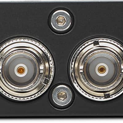 BLACK WAVES AUDIO DIGIGRID MGB-R 2022 - | Reverb