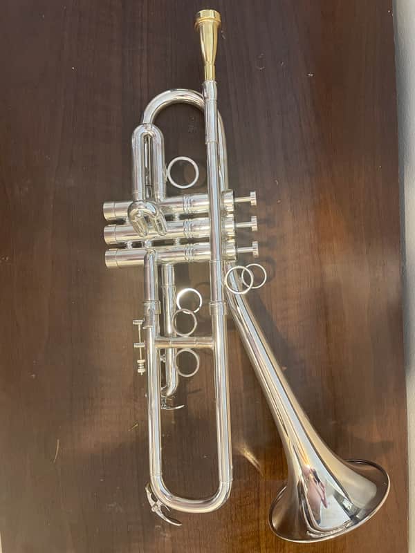 BerkeleyWind French Horn FireBird Trumpet w/Trombone EZ | Reverb
