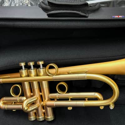 Taylor Nemesis Trumpet in Satin Matte Gold and Lacquer | Reverb