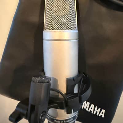 RODE NT2-A Studio Microphone Bundle + Premium D’Addario XLR | Reverb