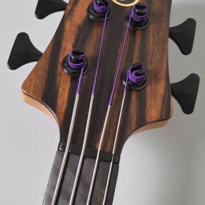 Elrick Gold Series E-volution 4st Fretless -Striped | Reverb