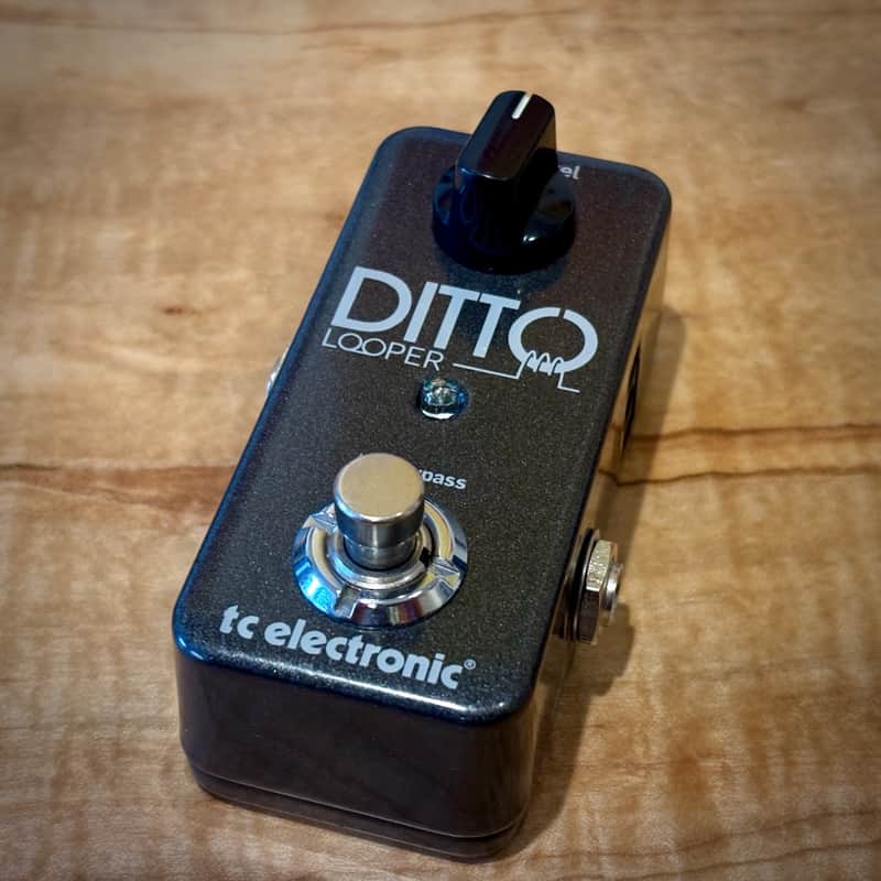 TC Electronic Ditto Looper - True Bypass | Reverb