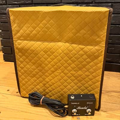 Swart Atomic Space Tone 20-Watt 1x12" Guitar Combo 2005 - | Reverb