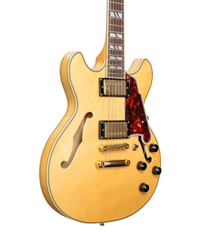 Pre-Owned D'Angelico Deluxe Mini DC Semi-Hollow Electric | Reverb