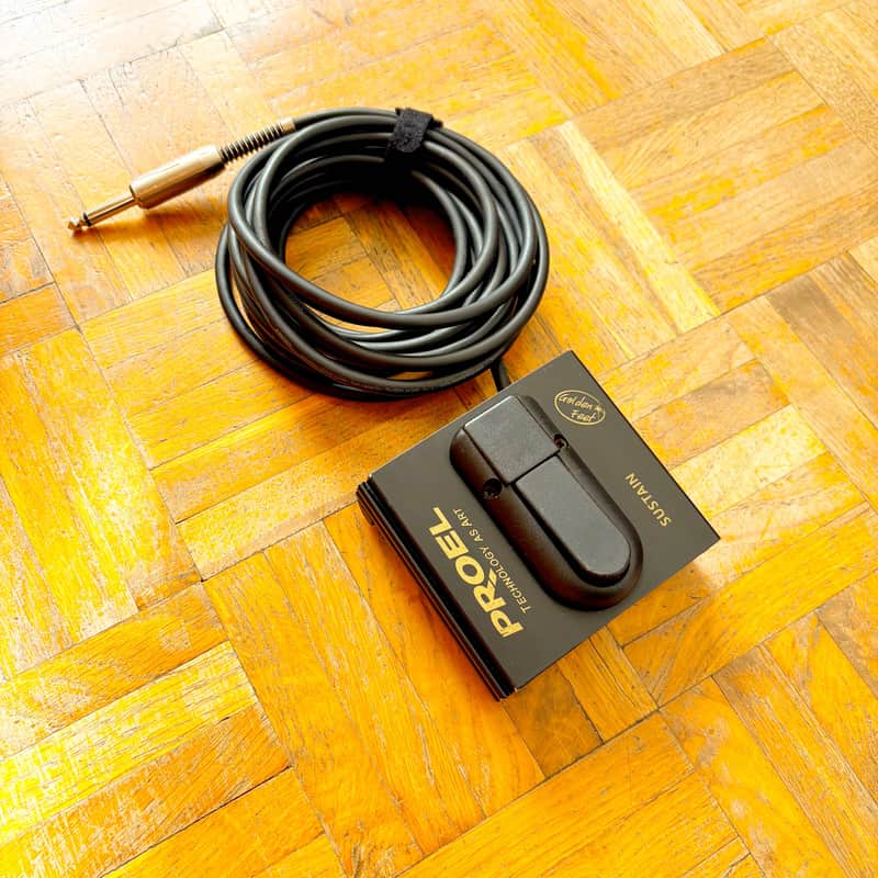 Proel GF-24 Sustain Pedal Switch with Polarity Switch! | Reverb