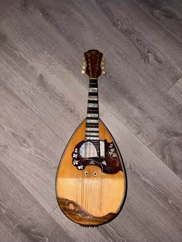 Mandolin Antique Italian Naples, Calace School Early 1900s | Reverb