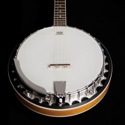 Washburn B9 Americana Series (5 String) Banjo - Sunburst | Reverb