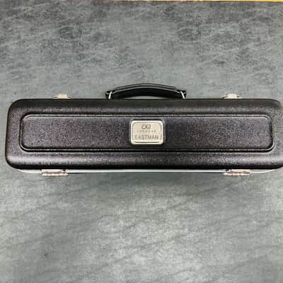 *DEMO* Eastman EFL210 Student Flute | Reverb