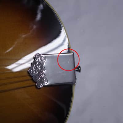 GOLD TONE GM-6 6-string Mandolin style GUITAR new GM6 Solid | Reverb