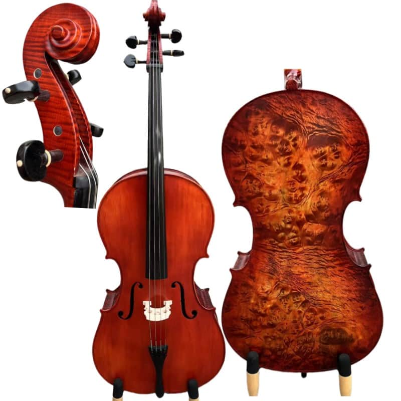 Rare Professional song Cello 4/4 Solid Bird eye | Reverb Lithuania