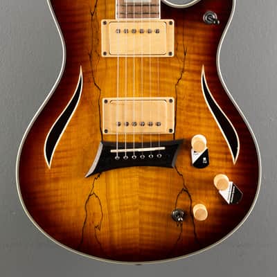Michael Kelly Hybrid Special - Spalted Maple Burst | Reverb