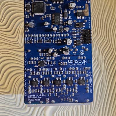 Monsoon (12hp Mutable Instruments Clouds) | Reverb