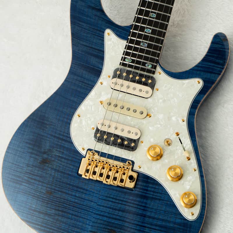 FREEDOM CUSTOM GUITAR RESEARCH HYDRA 24F 2Point | Reverb Canada