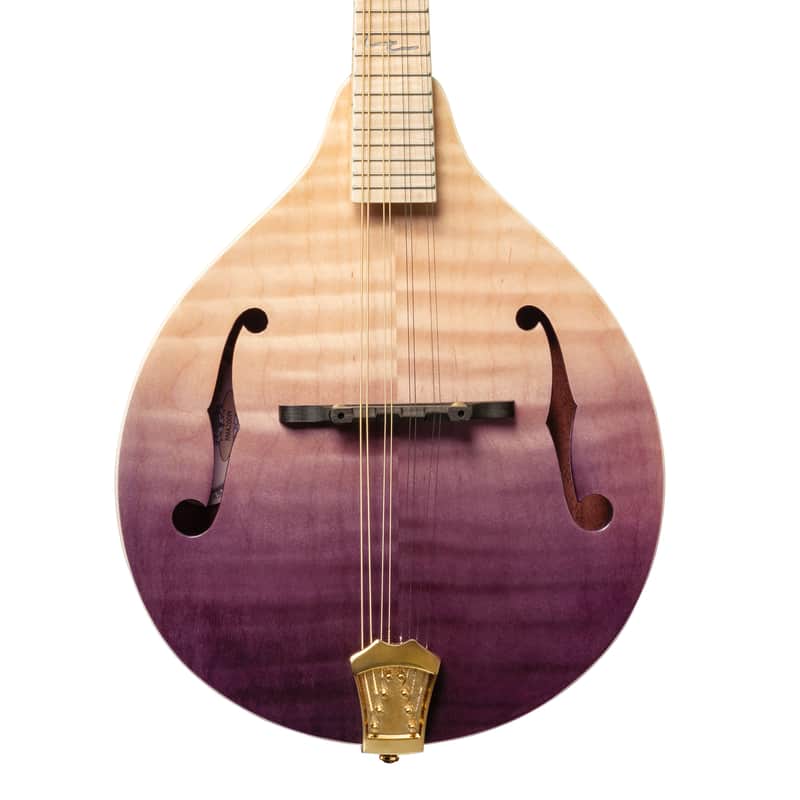 Ortega RMA200PF A-Style Mandolin w/Case - Transparent Purple | Reverb