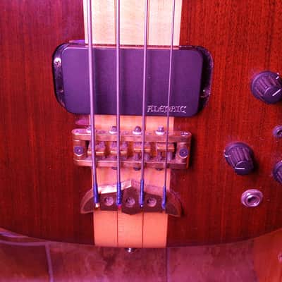 Alembic Stanley Clark Signiture Short Scale Bass 1995 | Reverb France
