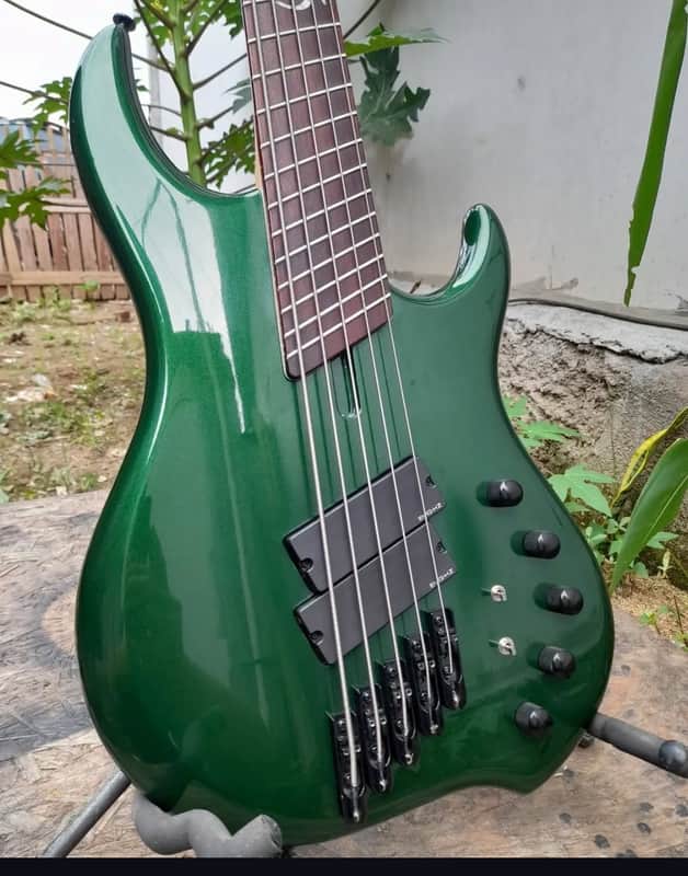 Zeline Custom 5 String Multiscale Bass 2023 | Reverb