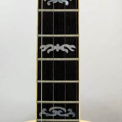Vintage Iida 240P Plectrum Banjo, Masterclone, Archtop Tone | Reverb