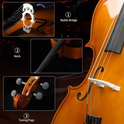 3/4 Full Size Acoustic Cello with Portable Bag, Bow, Rosin, | Reverb