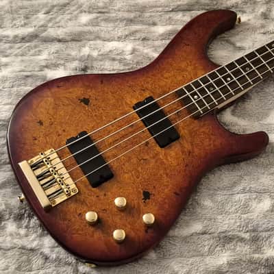 Dean Jeff Berlin Player Signature - Trans Brazilia Burst - | Reverb