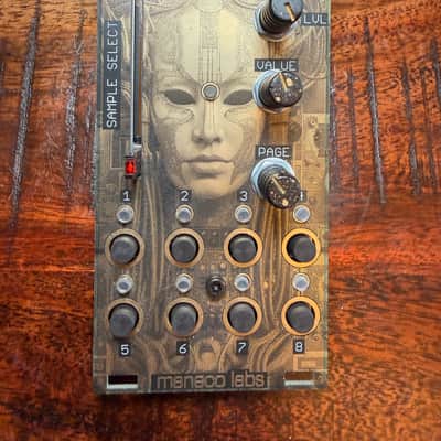 Maneco Labs Pikoloops Lo-Fi Sample Mangler [USED] | Reverb