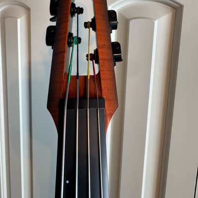 NS Design NXTa Electric Upright Bass | Reverb