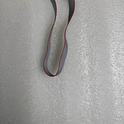 Tall Dog uRings | Reverb