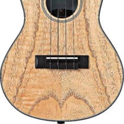 Kala Cape Lilac Mahogany Concert Ukulele - Natural | Reverb