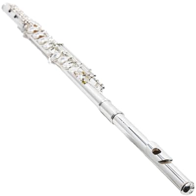 William S. Haynes Q2 'James Galway' Professional Flute SN | Reverb
