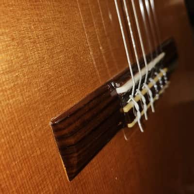 Lester DeVoe Classical Guitar | Reverb