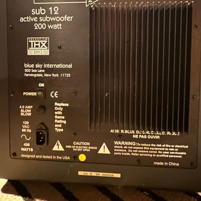 Blue Sky Sub 12 200 watt SubWoofer | Reverb