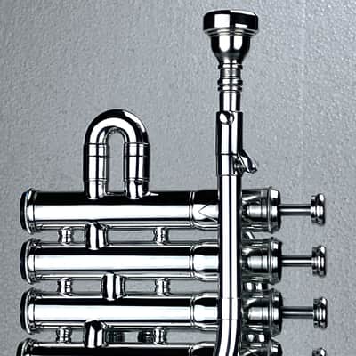 Berkeley Pro 4-Valve Piccolo Trumpet Silver Plated w/ Two | Reverb