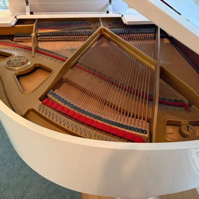 Petrof Baby Grand Piano – White High Gloss – 5’3” Model V – | Reverb