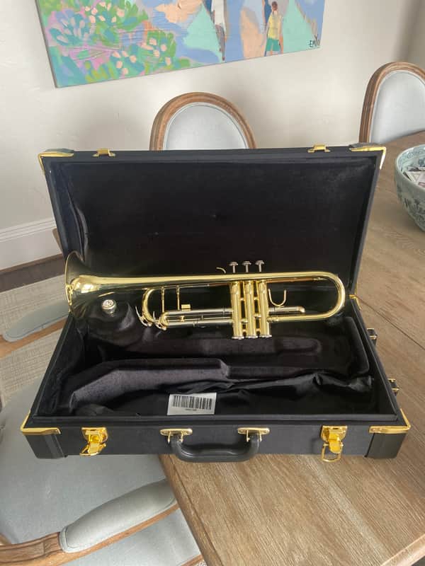 F. Schmidt H301L trumpet w/ case, 2023-24 - Brass | Reverb