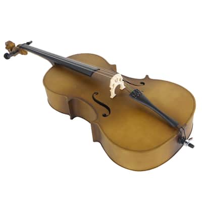 4/4 Full Size Acoustic Cello Starter Kit with Case, Bow & | Reverb