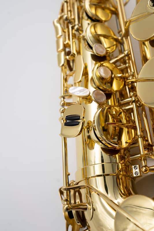 Henri SELMER Paris Tenor Reference 36 (2022), n°839410, | Reverb