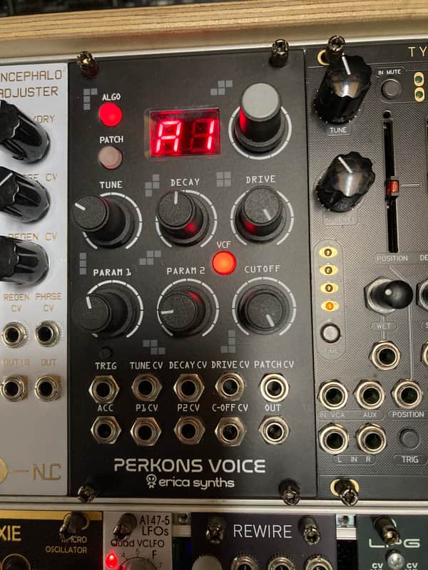 Erica Synths Perkons Voice - Near Mint | Reverb