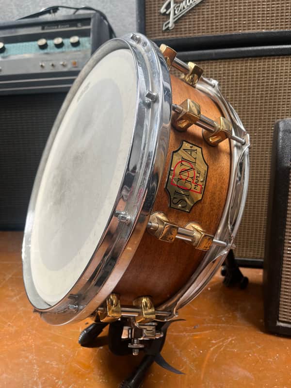 Made In England Premier Signia Maple 14”x5.5” Professional | Reverb