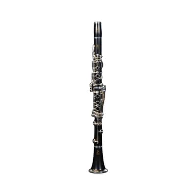 Fox Model 5800 Professional Bb Clarinet | Reverb