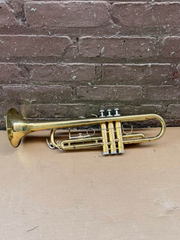Stagg 77-T Bb Student Trumpet Outfit | Reverb