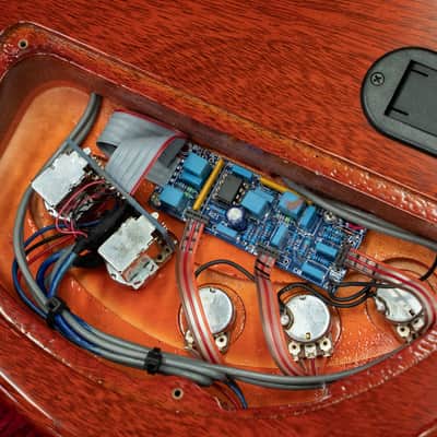 【new】PRS / Grainger 5 strings bass MS #0335201 | Reverb Australia