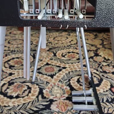 Carter Starter 10 String Pedal Console Steel Guitar 3x4 | Reverb